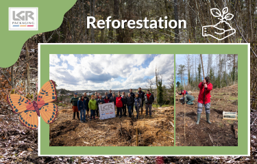 News - Reforestation programme